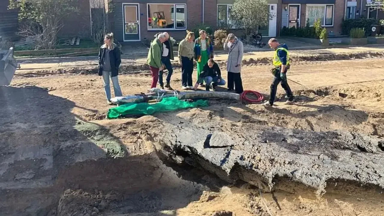 Kanalizasyon kazısı sırasında bulundu: Viking gemisine ait olabilir ...